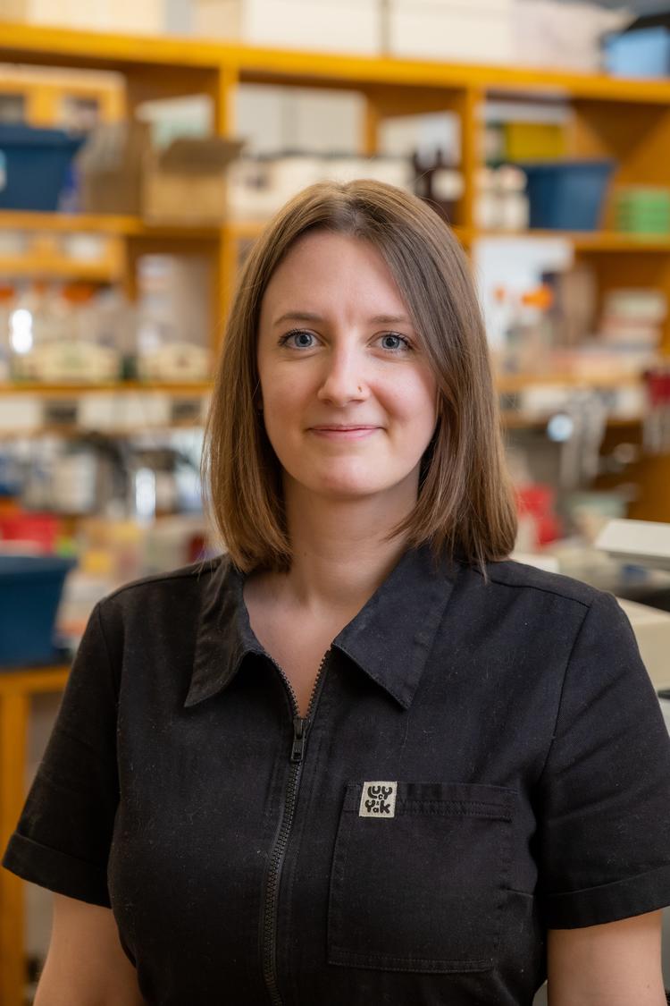 Devin Simpkins, Ph.D., MSc | BROOKS LAB